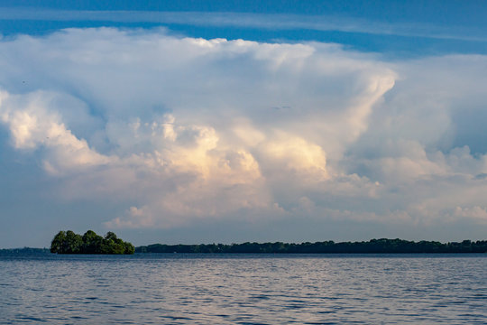 รูปภาพCumulon – เลือกดูภาพถ่ายสต็อก เวกเตอร์ และวิดีโอ100 | Adobe Stock