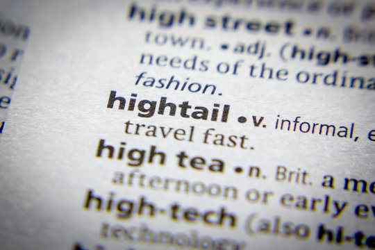 Hightailed Bilder – Durchsuchen 1,078 Archivfotos, Vektorgrafiken und ...