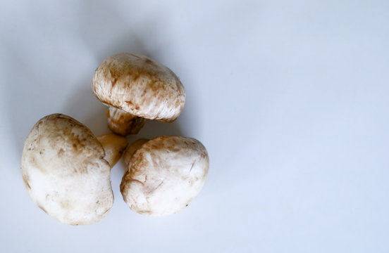 Kanc Bilder – Durchsuchen 249 Archivfotos, Vektorgrafiken und Videos ...