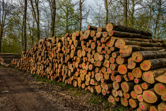 DIE 158 BESTEN BILDER, STOCK-FOTOS UND -VEKTORGRAFIKEN ZU „Stabel ...