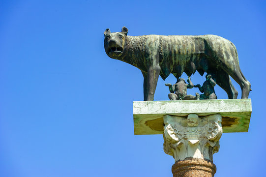 Luperca Images – Browse 23 Stock Photos, Vectors, and Video | Adobe Stock