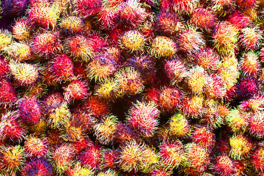 รูปภาพExoten – เลือกดูภาพถ่ายสต็อก เวกเตอร์ และวิดีโอ1,768 | Adobe Stock