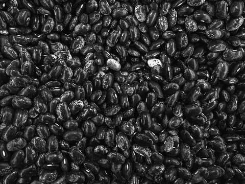 "Bean Background" Images – Browse 261 Stock Photos, Vectors, and Video ...