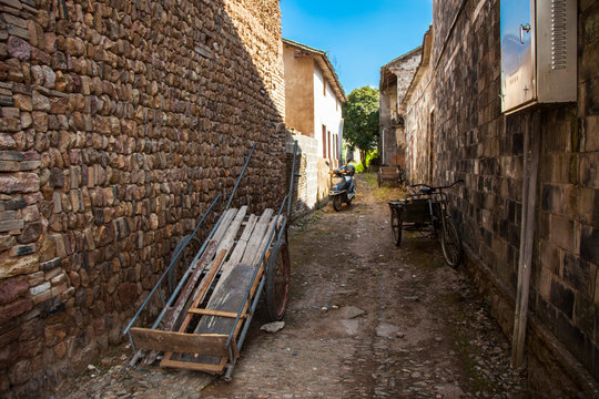 Potan Images – Browse 29 Stock Photos, Vectors, and Video | Adobe Stock