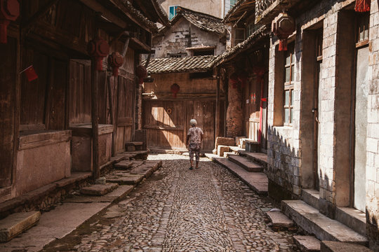 Potan Images – Browse 29 Stock Photos, Vectors, and Video | Adobe Stock