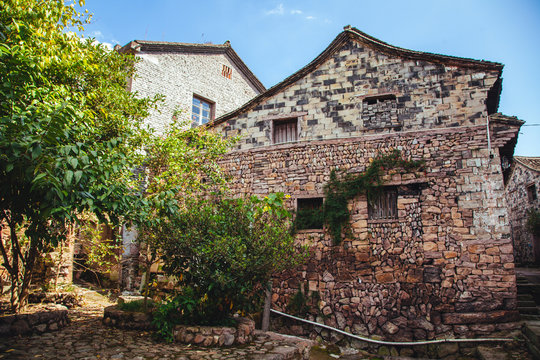 Potan Images – Browse 29 Stock Photos, Vectors, and Video | Adobe Stock