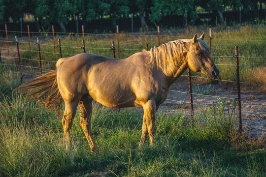 Chaunk Bilder – Durchsuchen 634 Archivfotos, Vektorgrafiken und Videos ...