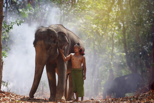 「Mahout」の画像 - 3,230 件の Stock 写真、ベクターおよびビデオ | Adobe Stock