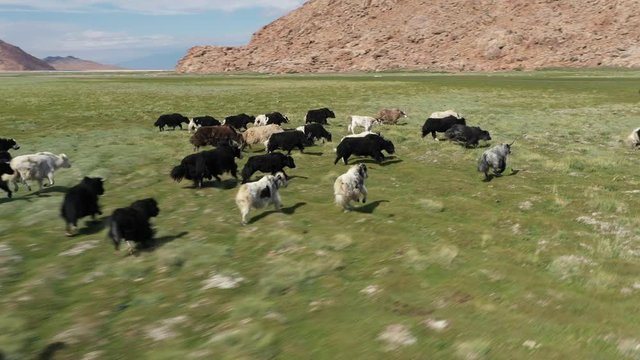 Sarlag-Bilder: Stock-Fotos & -Videos. | Adobe Stock