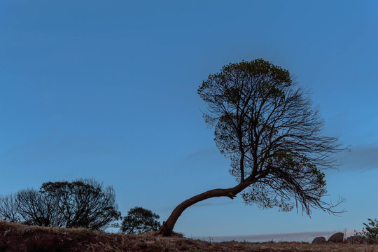 รูปภาพDoblado – เลือกดูภาพถ่ายสต็อก เวกเตอร์ และวิดีโอ434 | Adobe Stock