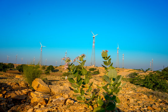 Pawan Images – Browse 34 Stock Photos, Vectors, and Video | Adobe Stock