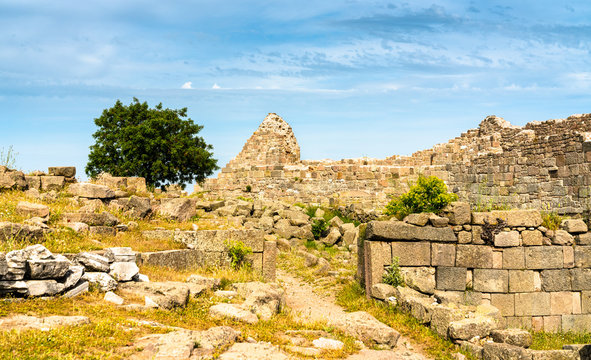 รูปภาพPergamum – เลือกดูภาพถ่ายสต็อก เวกเตอร์ และวิดีโอ1,204 | Adobe Stock