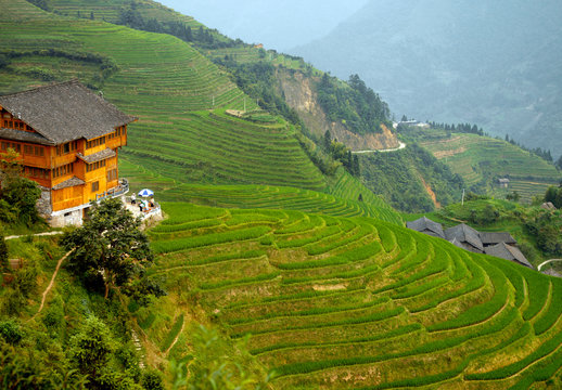 Terracing Images – Browse 948,594 Stock Photos, Vectors, and Video ...