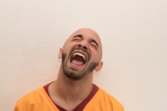 รูปภาพUproariously – เลือกดูภาพถ่ายสต็อก เวกเตอร์ และวิดีโอ488 | Adobe ...