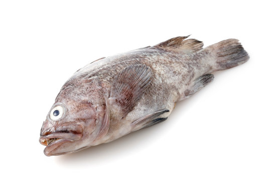 Jacopever Images – Browse 21 Stock Photos, Vectors, and Video | Adobe Stock