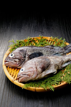 Jacopever Images – Browse 21 Stock Photos, Vectors, and Video | Adobe Stock