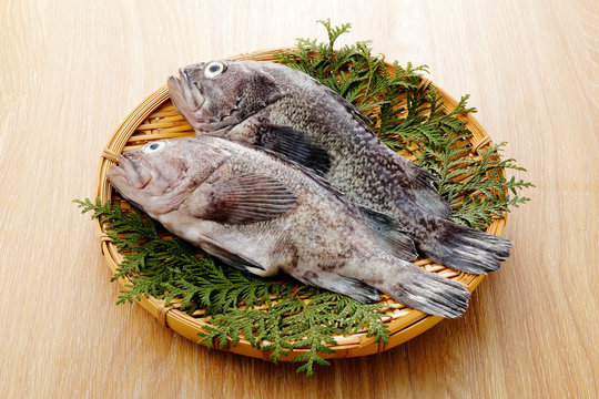 Jacopever Images – Browse 21 Stock Photos, Vectors, and Video | Adobe Stock