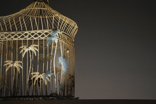 Mistrust Images – Browse 24,879 Stock Photos, Vectors, and Video ...