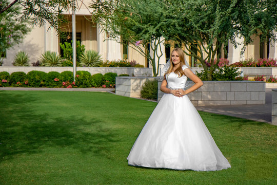 Goom Images – Browse 102 Stock Photos, Vectors, and Video | Adobe Stock