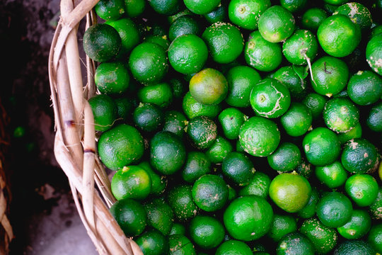 Lemonsito Images – Browse 16 Stock Photos, Vectors, and Video | Adobe Stock