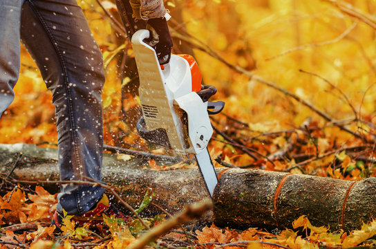 Lumberjacking Bilder – Durchsuchen 369,246 Archivfotos, Vektorgrafiken ...