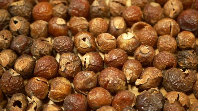 Reetha Images – Browse 487 Stock Photos, Vectors, and Video | Adobe Stock