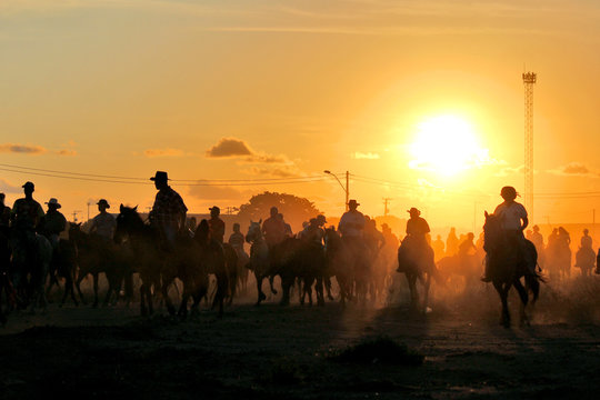 Cavalgada Images – Browse 15,487 Stock Photos, Vectors, and Video ...