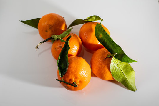 รูปภาพManderin – เลือกดูภาพถ่ายสต็อก เวกเตอร์ และวิดีโอ121 | Adobe Stock