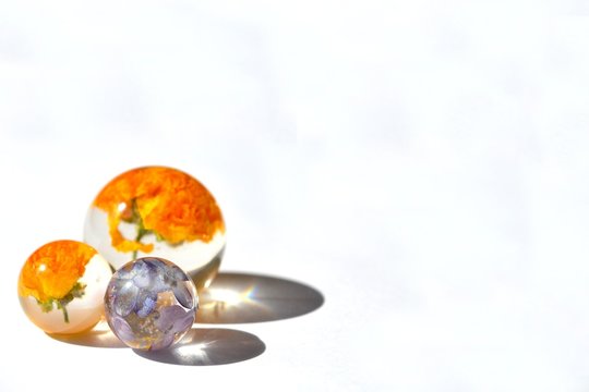 Imágenes de Colofonia: descubre bancos de fotos, ilustraciones ...