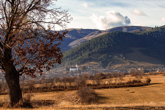 Rasinari-Bilder: Stock-Fotos & -Videos. | Adobe Stock