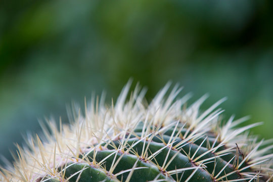Hildm-Bilder: Stock-Fotos & -Videos. | Adobe Stock