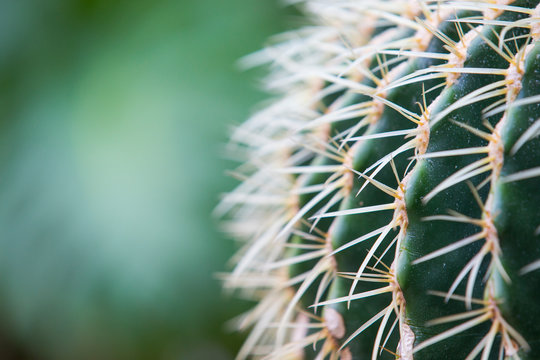 Hildm-Bilder: Stock-Fotos & -Videos. | Adobe Stock