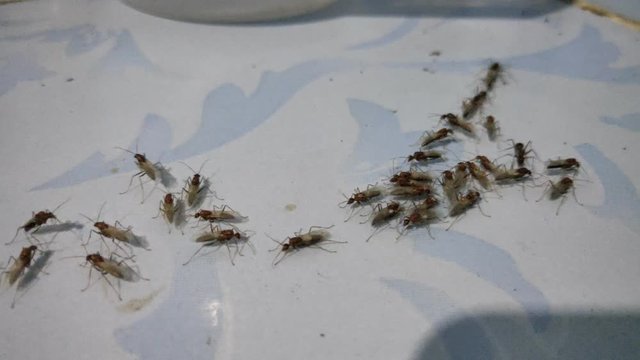 Beground Images – Browse 205 Stock Photos, Vectors, and Video | Adobe Stock