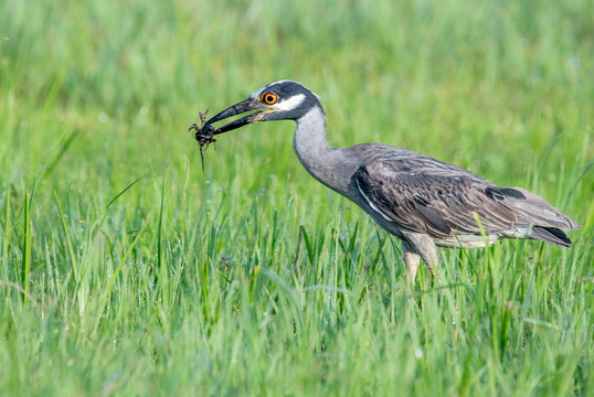 Egert Bilder – Durchsuchen 47 Archivfotos, Vektorgrafiken und Videos ...