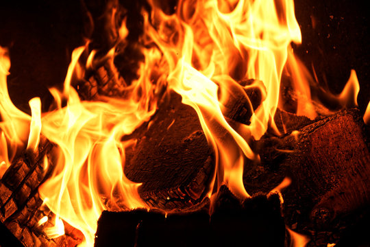 Brandwunde bilder – Bläddra bland 7,677 stockfoton, vektorer och videor ...