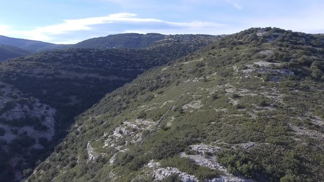 Cati Images – Browse 176 Stock Photos, Vectors, and Video | Adobe Stock