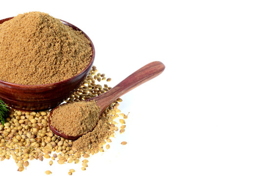 รูปภาพ"Corriander – เลือกดูภาพถ่ายสต็อก เวกเตอร์ และวิดีโอ1,659 | Adobe ...