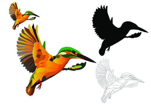 "Kingfisher Flying" Images – Browse 120 Stock Photos, Vectors, and ...