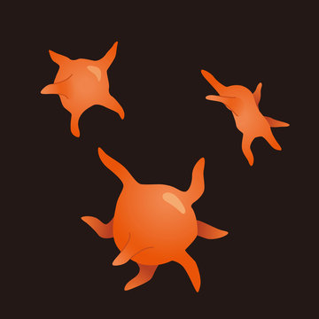 รูปภาพPlt – เลือกดูภาพถ่ายสต็อก เวกเตอร์ และวิดีโอ118 | Adobe Stock