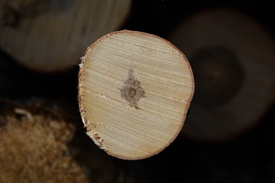 Amonceler Images – Browse 61 Stock Photos, Vectors, and Video | Adobe Stock