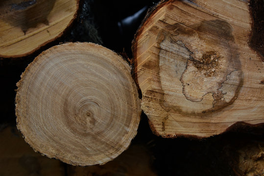 Amonceler Images – Browse 61 Stock Photos, Vectors, and Video | Adobe Stock