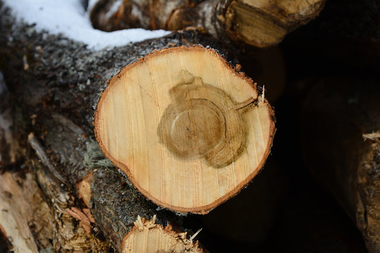 Amonceler-Bilder: Stock-Fotos & -Videos. | Adobe Stock