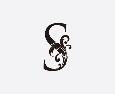 Calligraphy Letter S Images – Browse 32,020 Stock Photos, Vectors, and ...