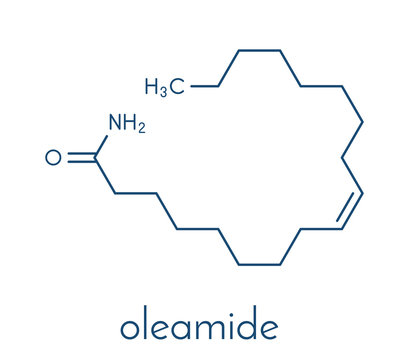Skeletal Structure"」の写真素材 | 22,267件の無料イラスト画像 | Adobe Stock