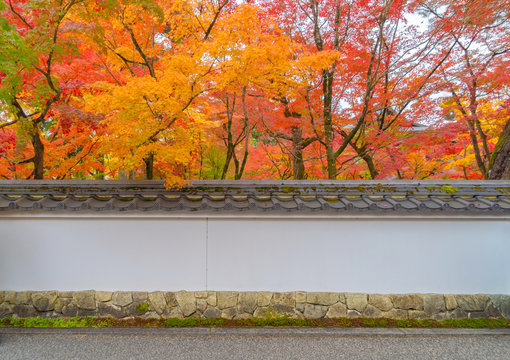 รูปภาพZenrinji – เลือกดูภาพถ่ายสต็อก เวกเตอร์ และวิดีโอ623 | Adobe Stock