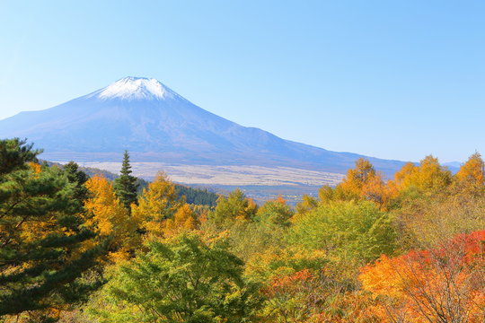 Pixta Images – Browse 264 Stock Photos, Vectors, and Video | Adobe Stock