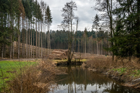 Waldroden Bilder – Durchsuchen 1,393 Archivfotos, Vektorgrafiken und ...