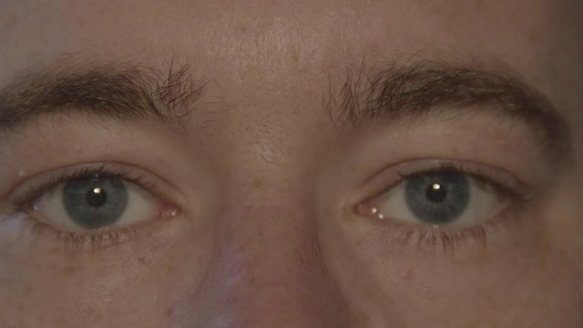 Close Up Pair Of Eyes