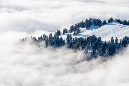 Schneeverwehungen bilder – Bläddra bland 399 stockfoton, vektorer och ...