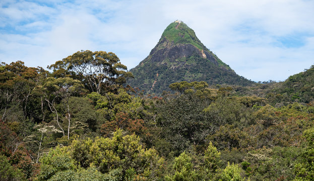 Siripade Images – Browse 59 Stock Photos, Vectors, and Video | Adobe Stock